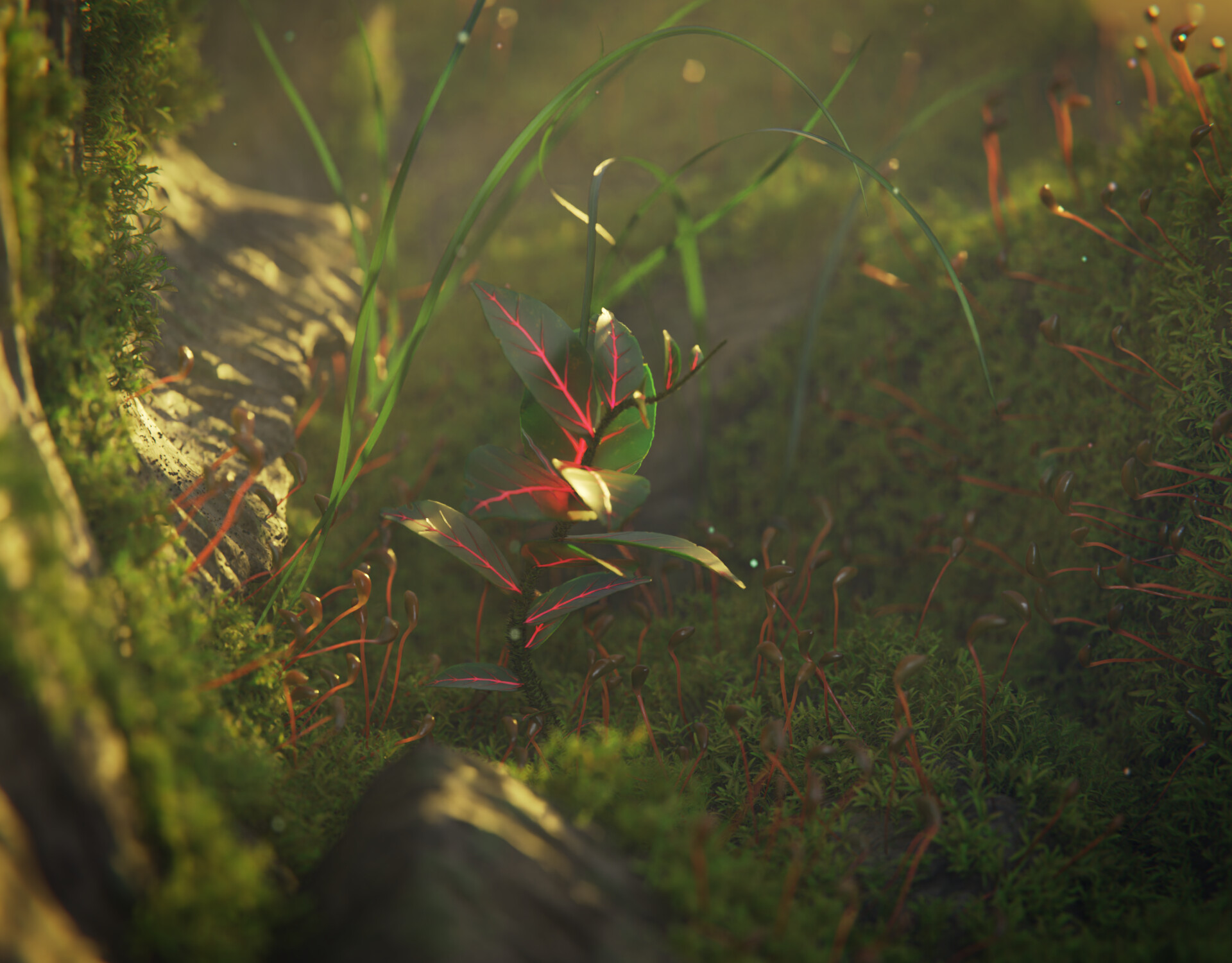 ArtStation - Macro moss atmosphere render