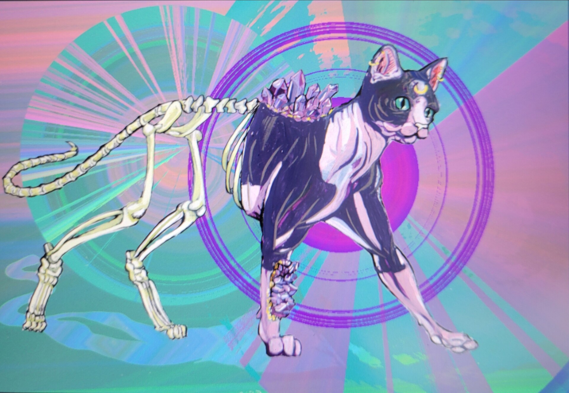 ArtStation - Schrödinger's cat