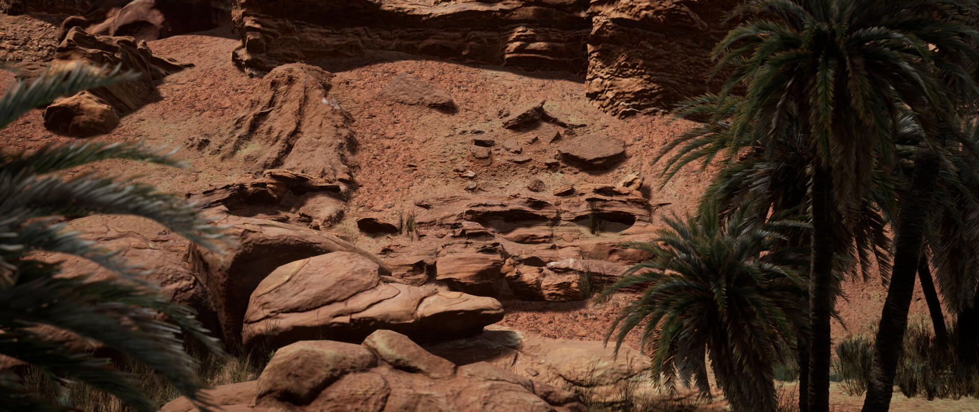 sherap sada - Oasis_MiddleEast.