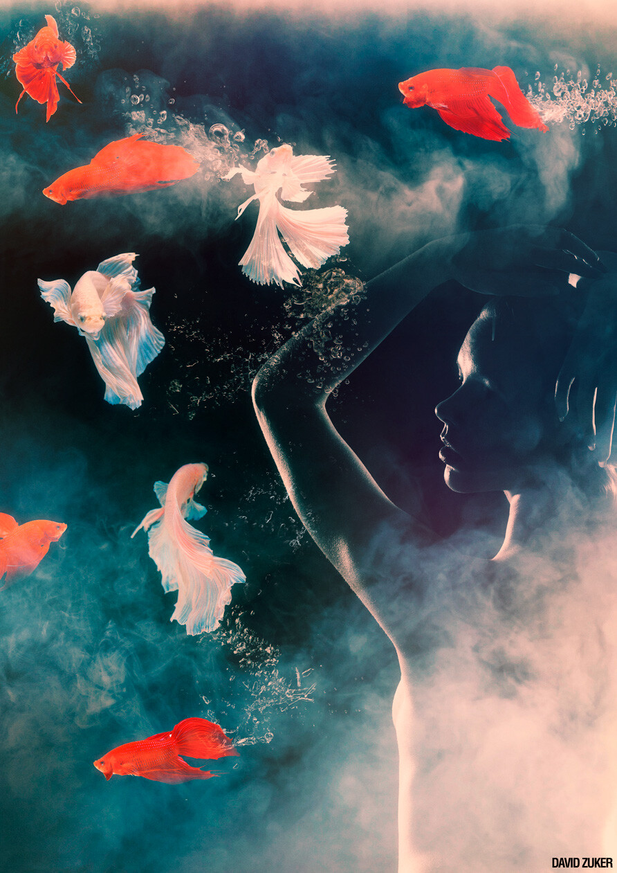 DAVID ZUKER - DAYDREAM XXIX