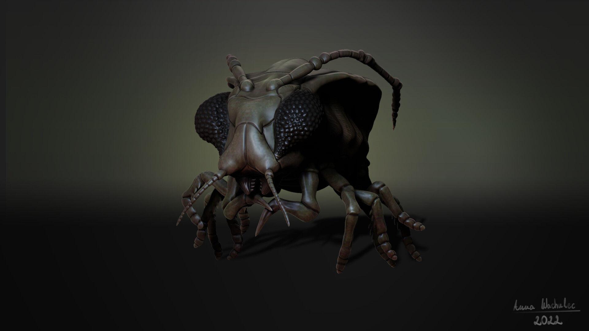 ArtStation - Insect