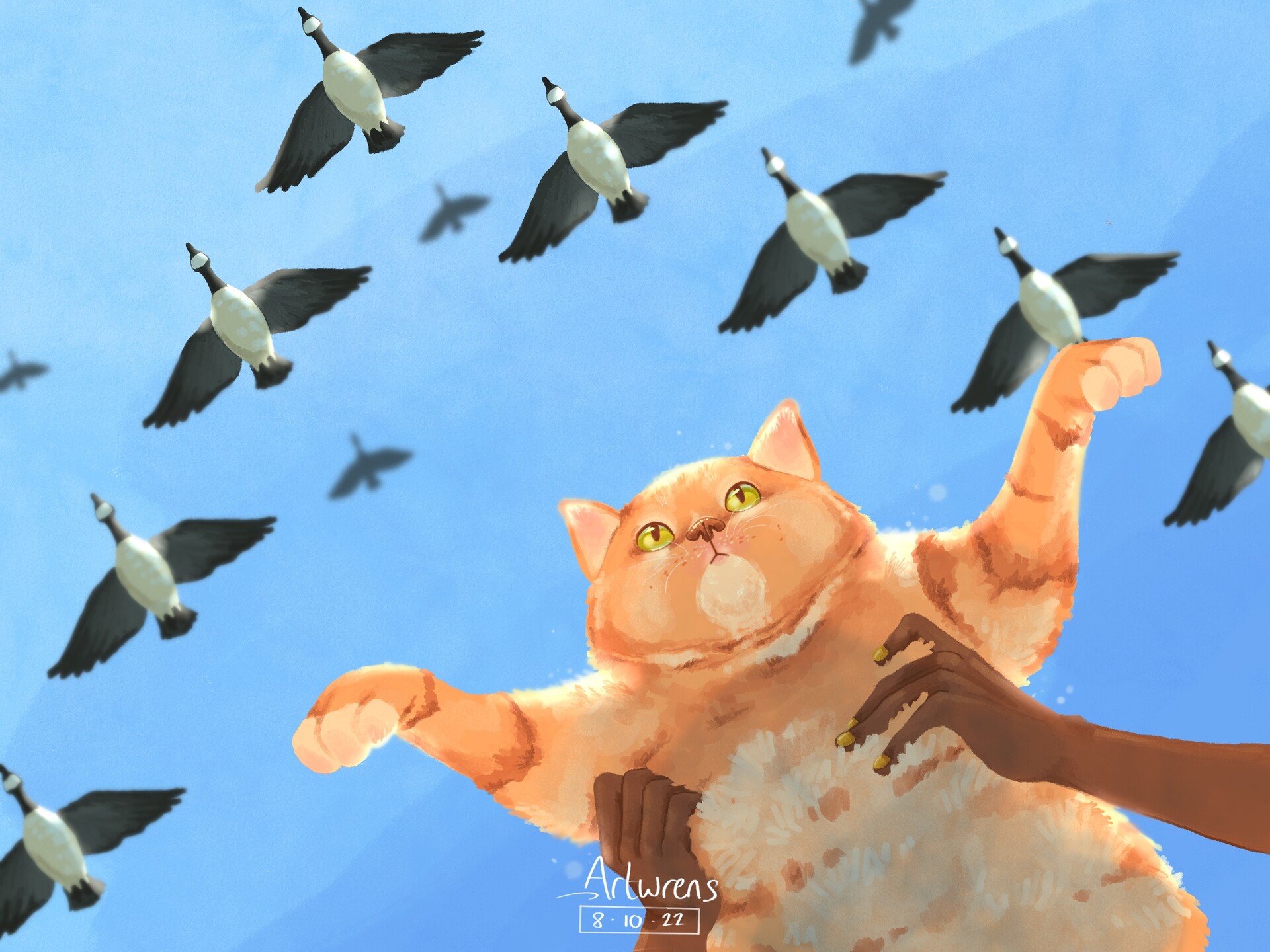 ArtStation - This Cat Can Fly