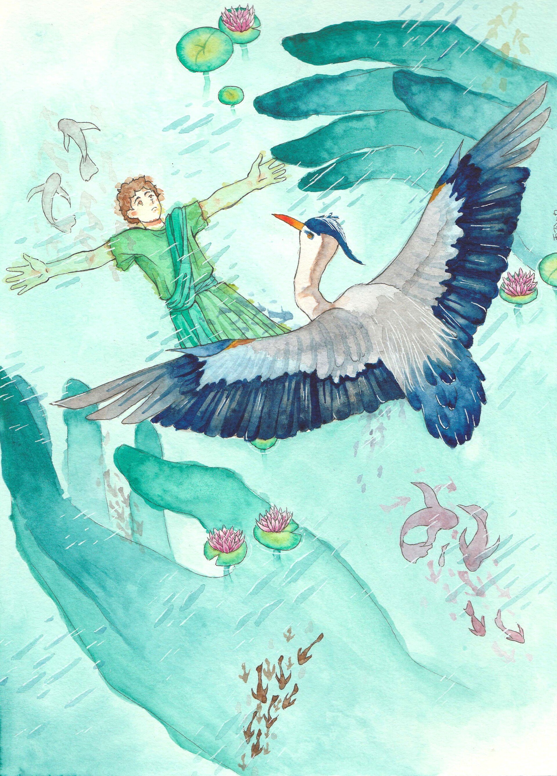 Amélie Chérie B. - The Myth of Aesacus