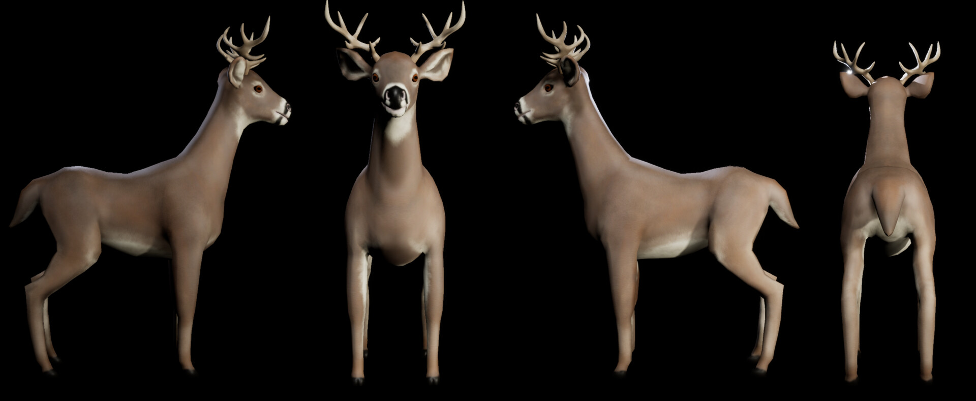 Gabrielle Benninghoff - Stylized Animal Models