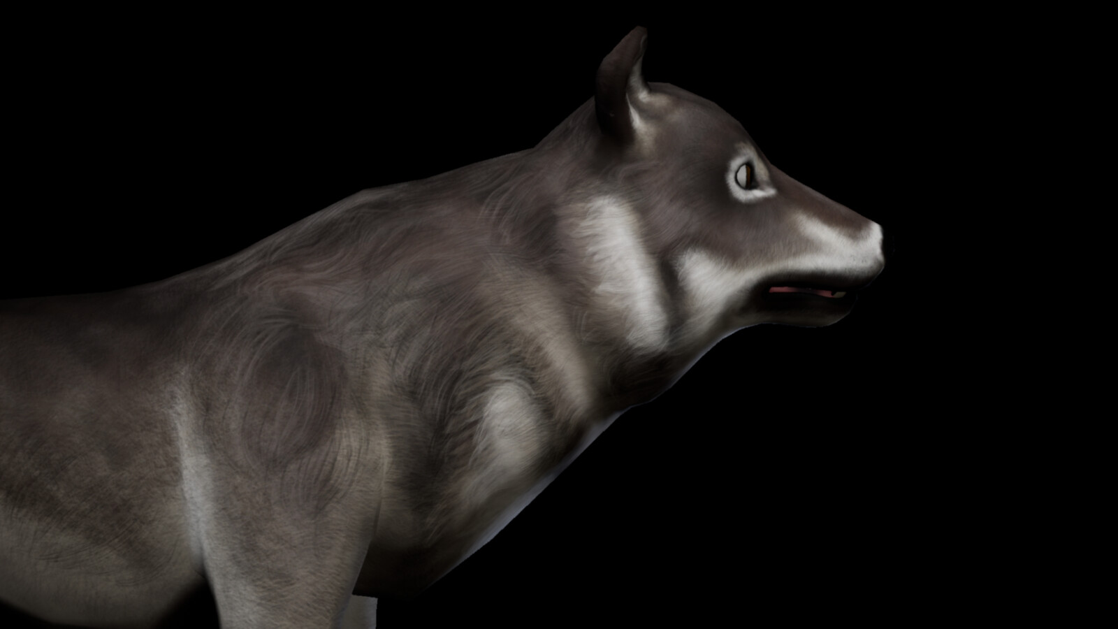 Gabrielle Benninghoff - Stylized Animal Models