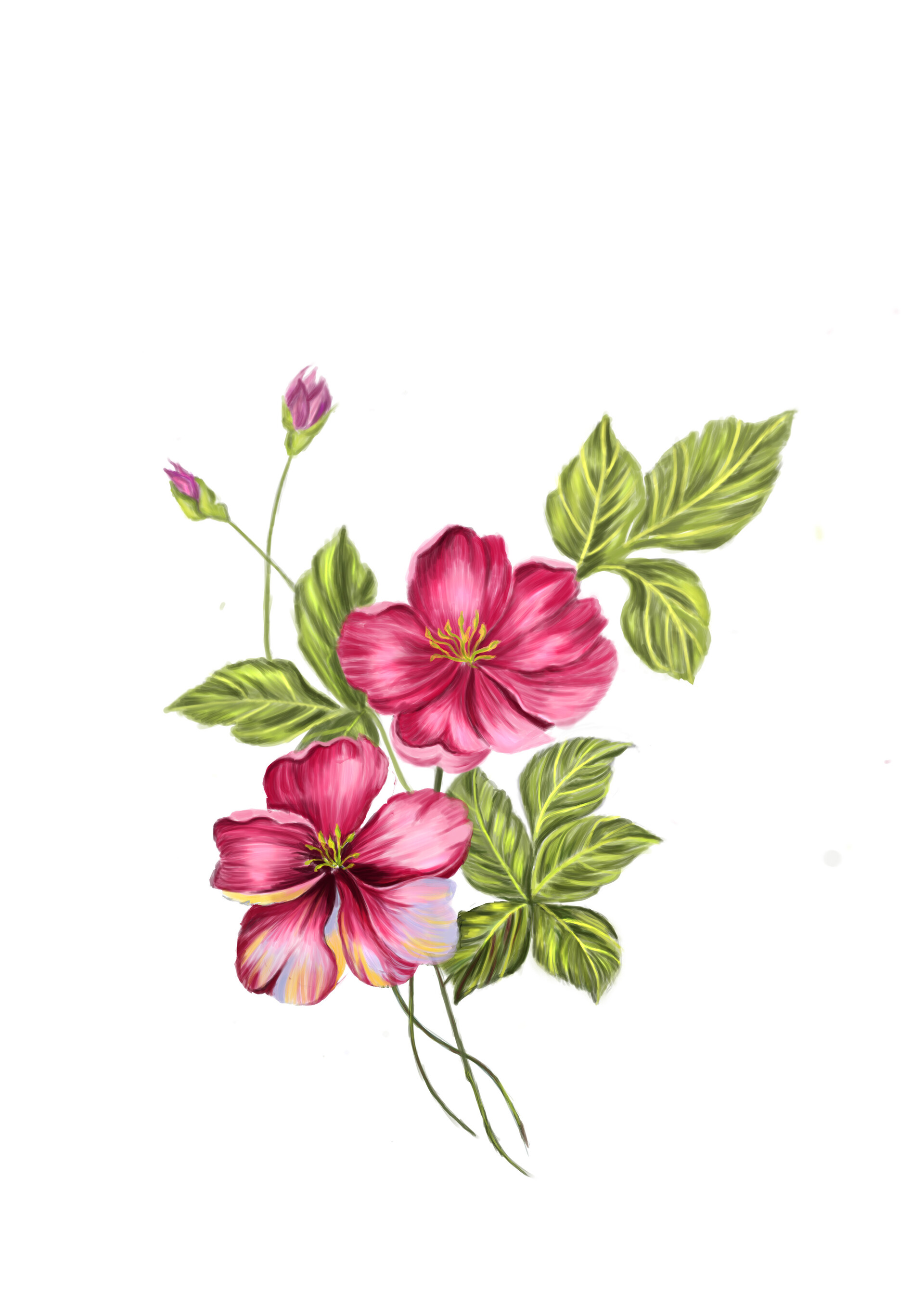 ArtStation - Flowers Print design