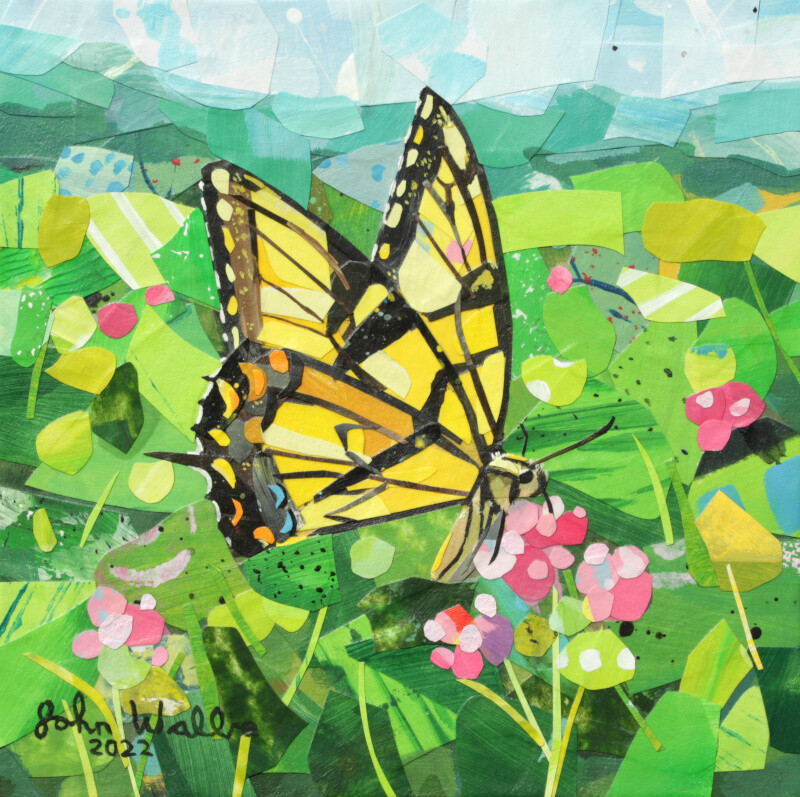ArtStation - Swallowtail Butterfly Collage
