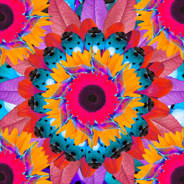 ArtStation - Ladybug Mandala