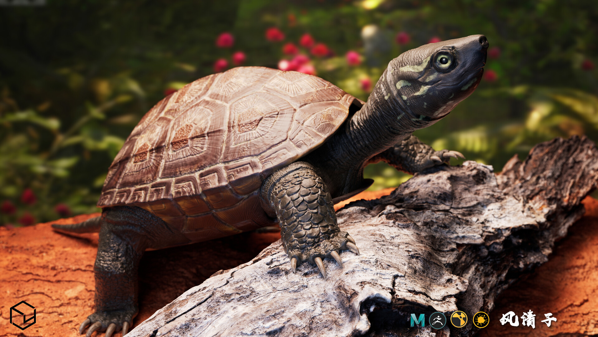 ArtStation - chinese tortoise