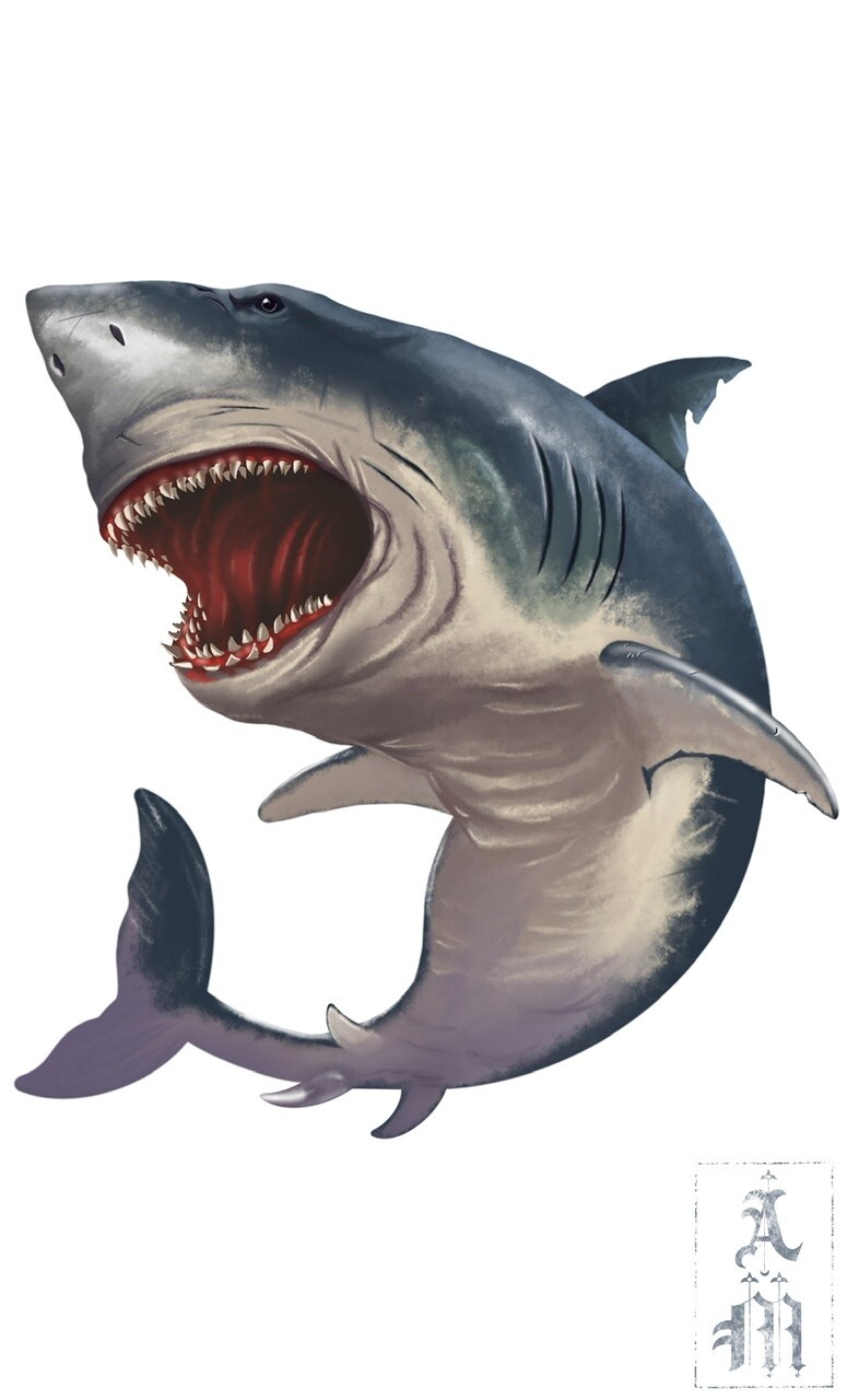 ArtStation - Shark