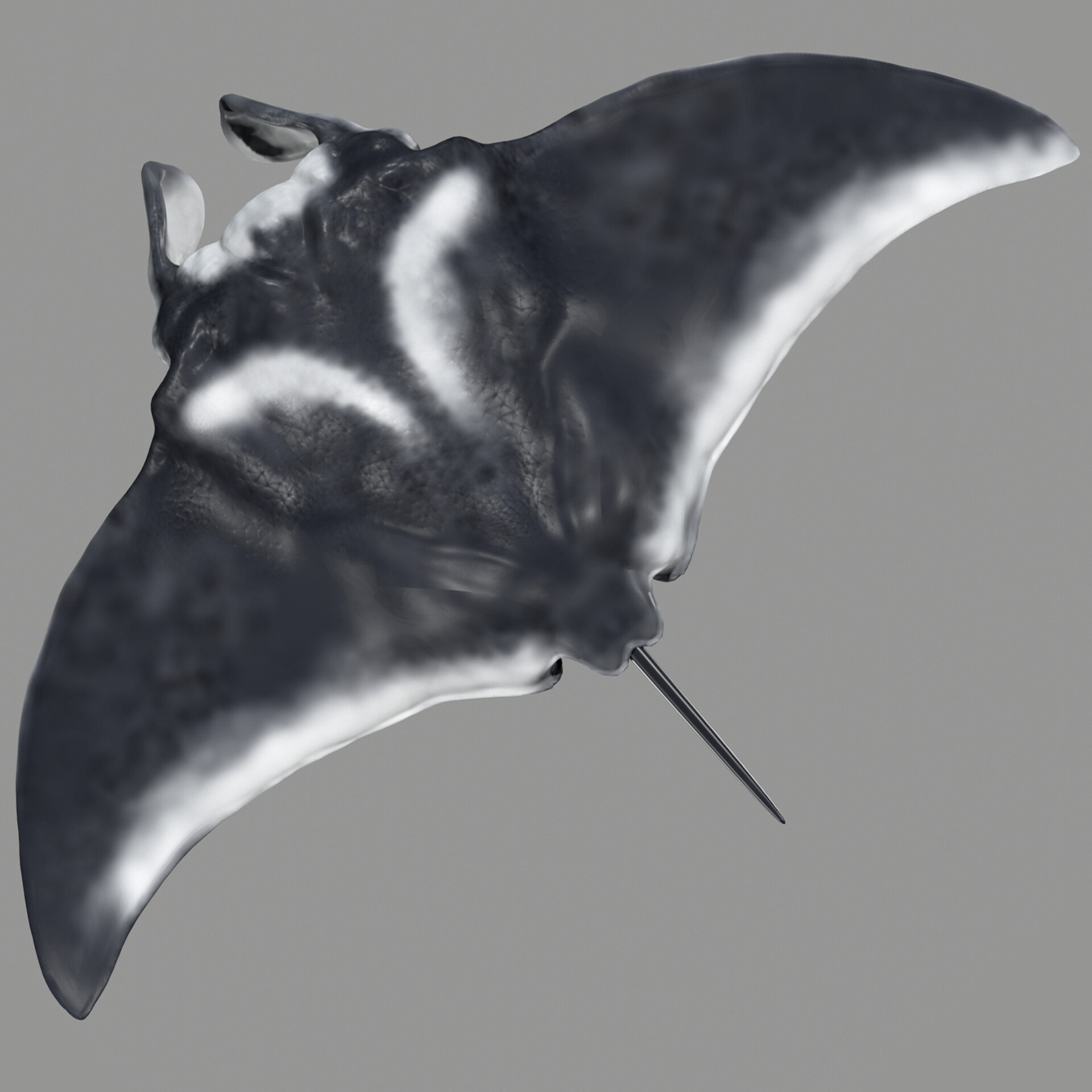 ArtStation - Manta rays