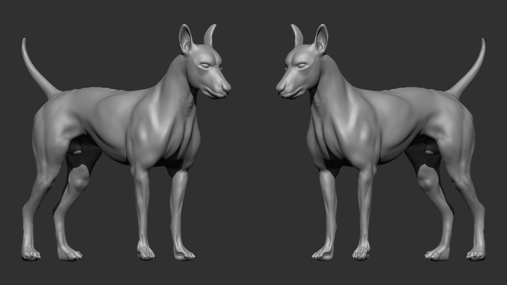 ArtStation - Dog Modeling