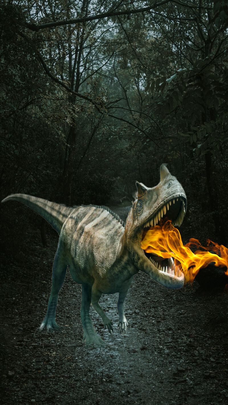 ArtStation - Dino's fireworks..