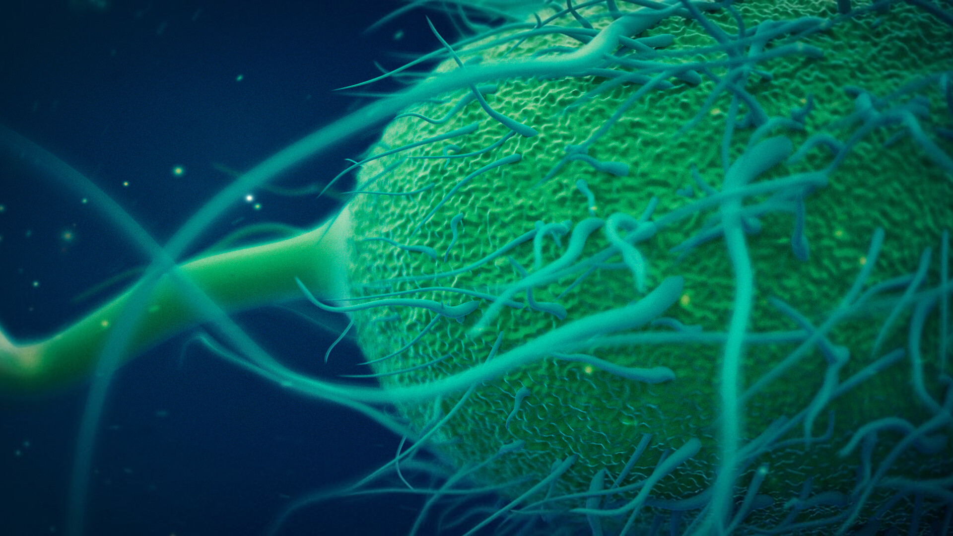ArtStation - E. coli & Insulin Bioreactor Simulation