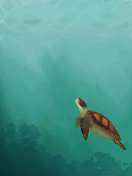 Animated Sea Turtle