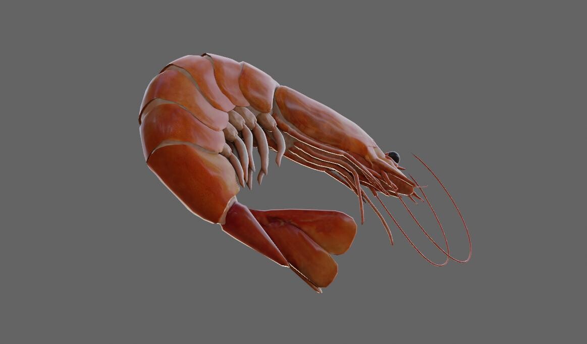 Cristiano Simao dos Santos - Prawn 3D Model