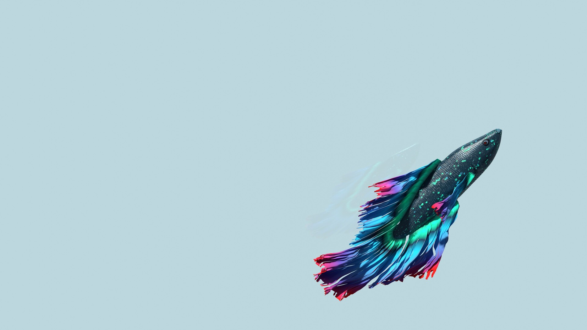 ArtStation - Beta Fish