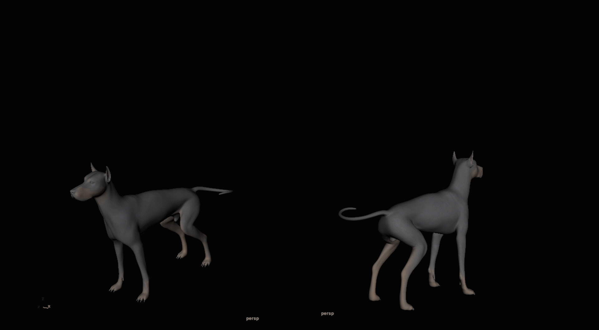 ArtStation - Dog Jump (School Exercise)