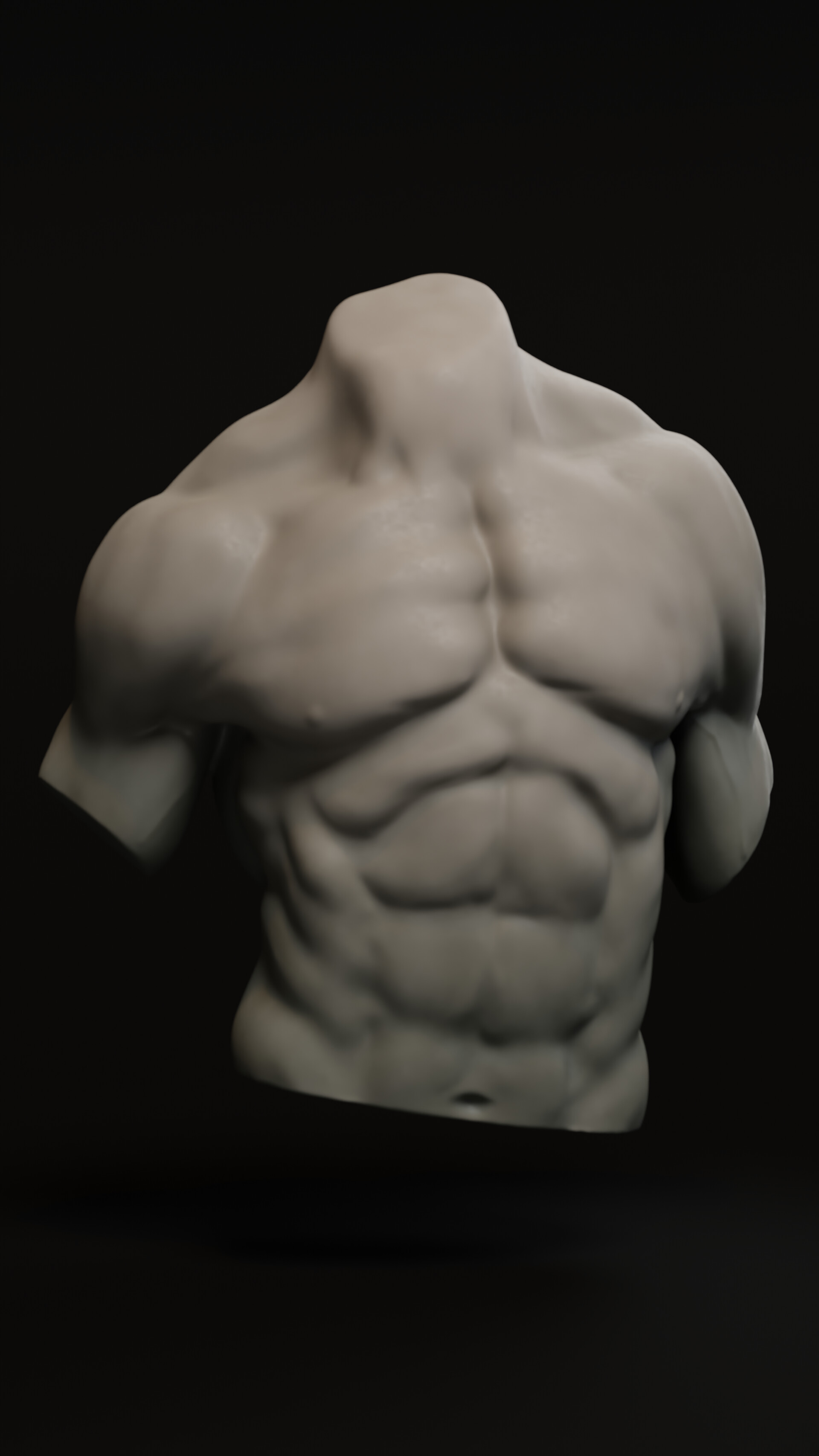 ArtStation - Anatomy Study