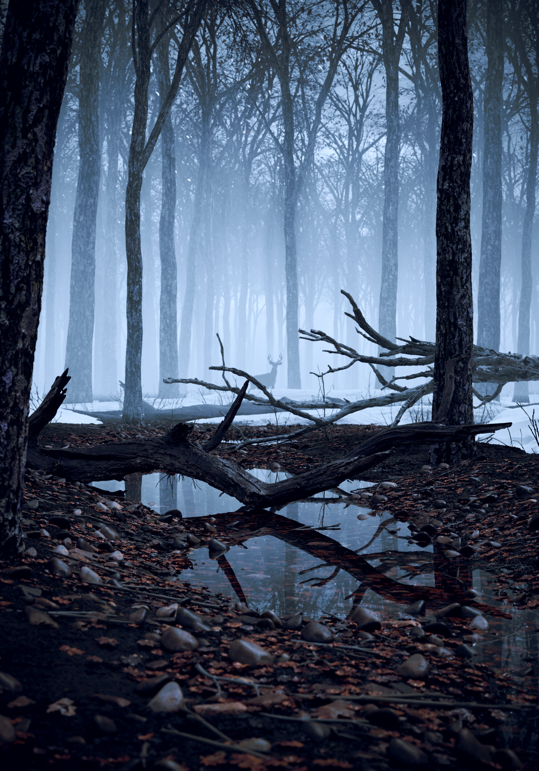 ArtStation - Cold Forest