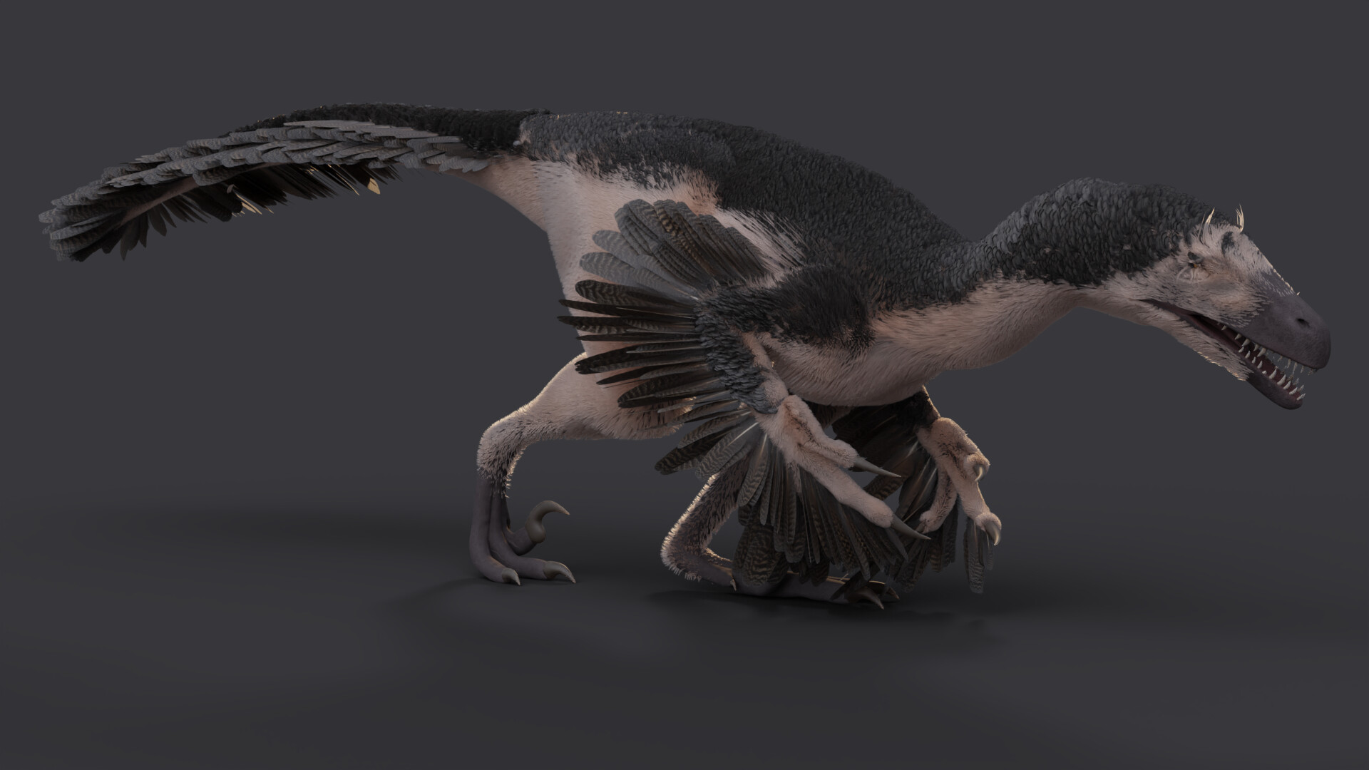 Ethan LeRoith - Dromeosaurus albertensis