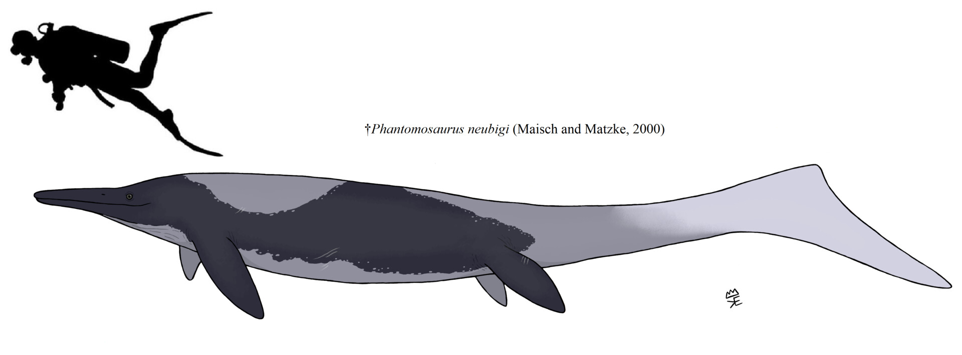 ArtStation - Phantomosaurus neubigi