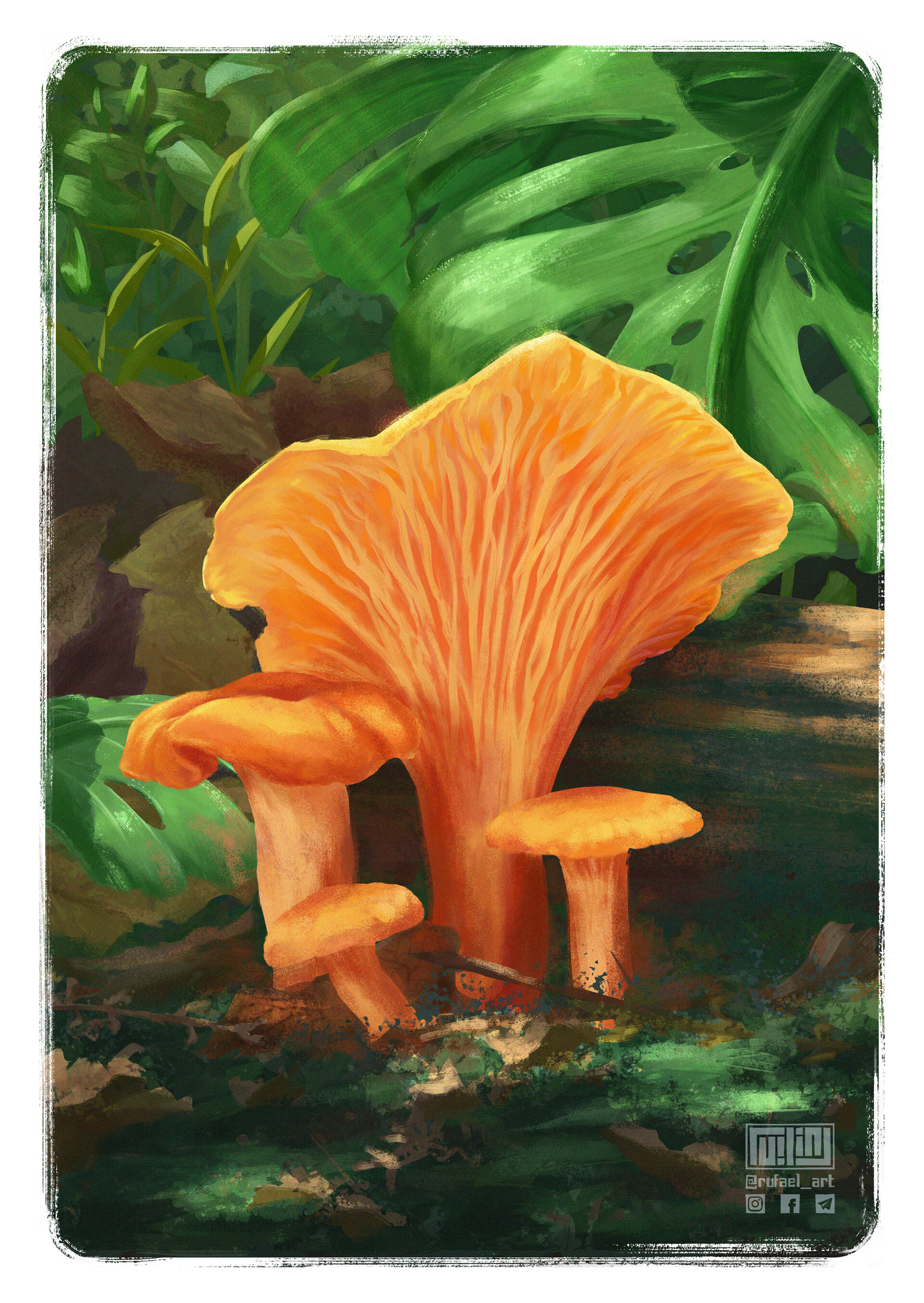 ArtStation - Fantastic Fungi