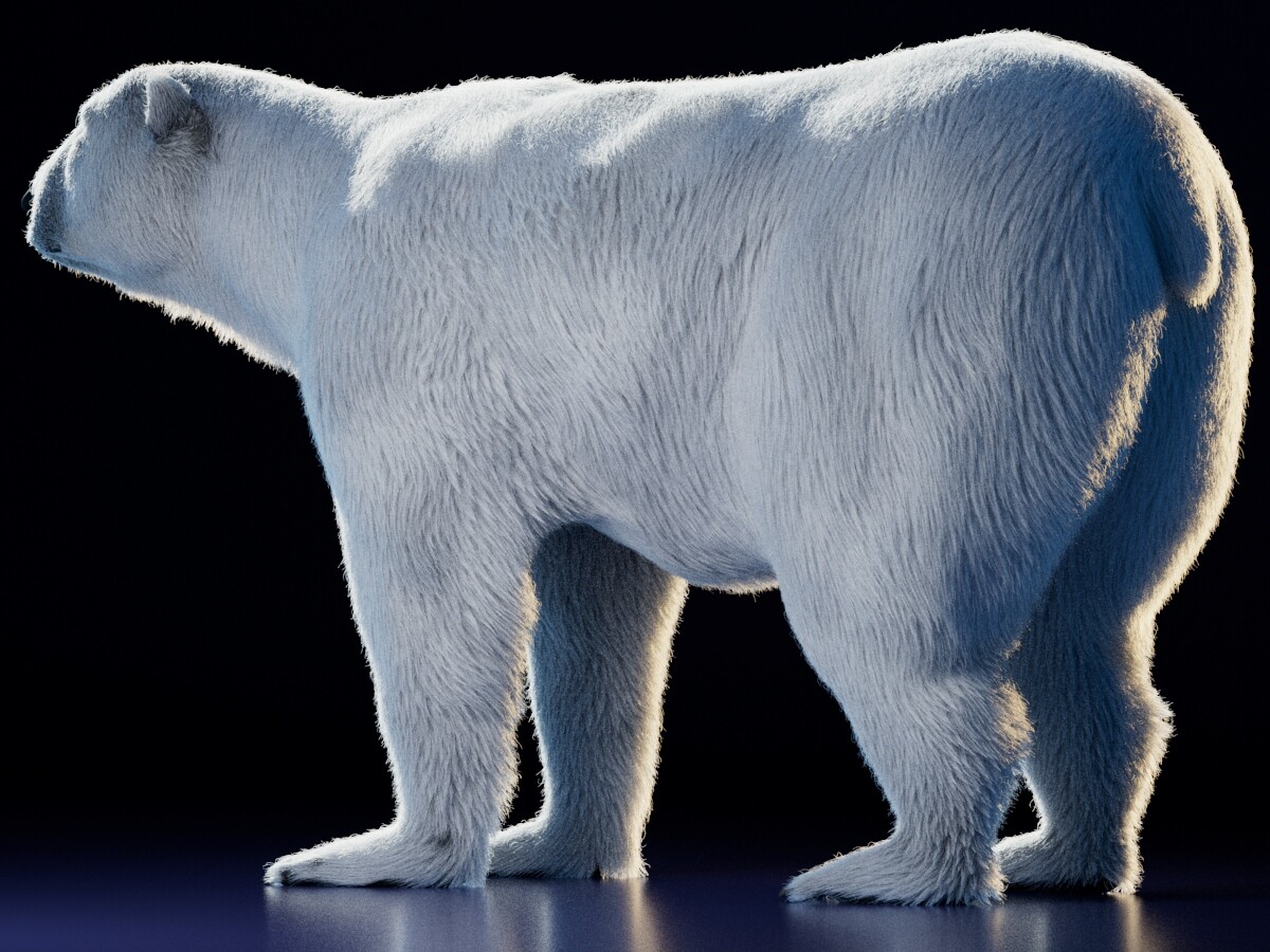 Mayur Jaiswal - Polar Bear!