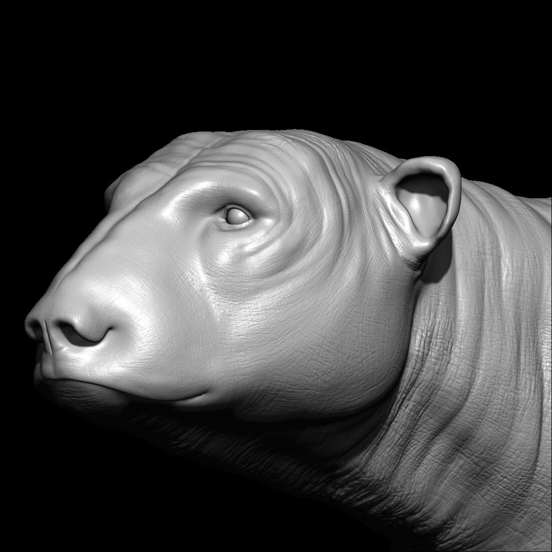 Mayur Jaiswal - Polar Bear!