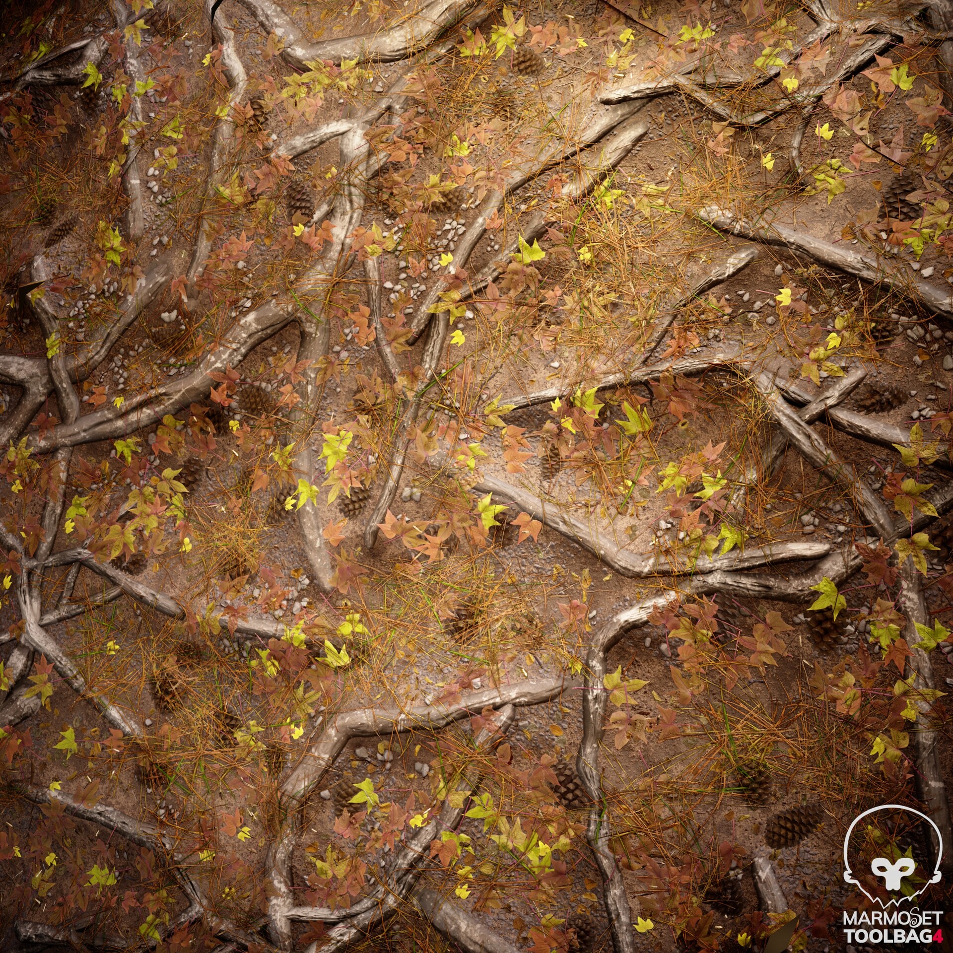 Cc whisky - Forest surface material practice