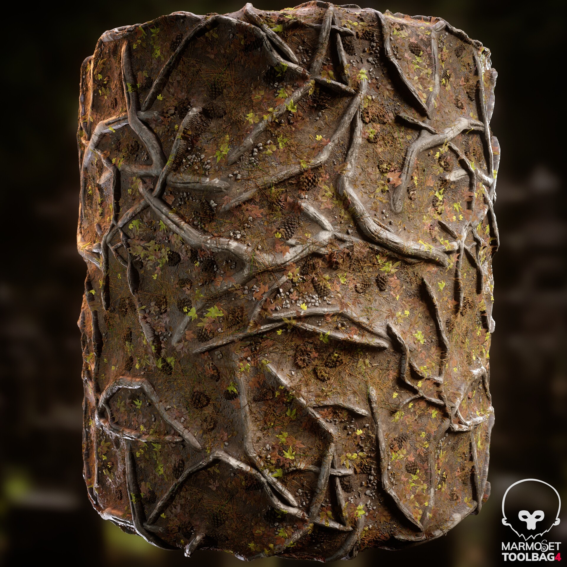 Cc whisky - Forest surface material practice