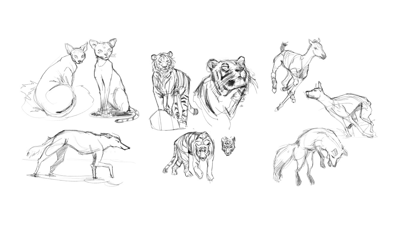ArtStation - animal studies