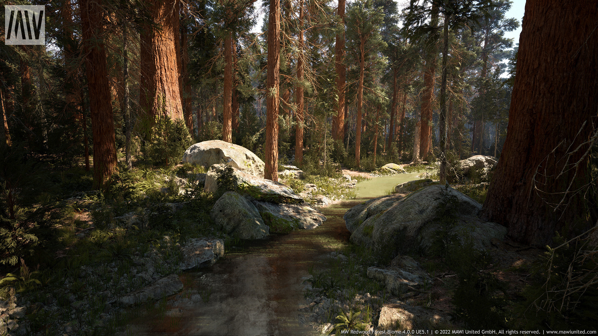 MAWI United - UE5.1 Redwood Forest Nanite