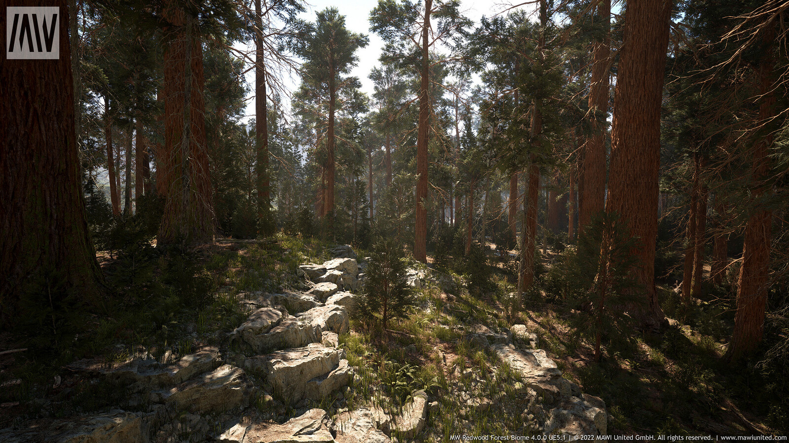 MAWI United - UE5.1 Redwood Forest Nanite