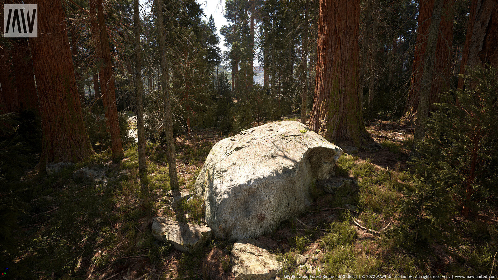 MAWI United - UE5.1 Redwood Forest Nanite