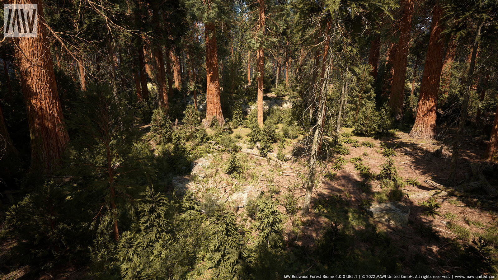 MAWI United - UE5.1 Redwood Forest Nanite