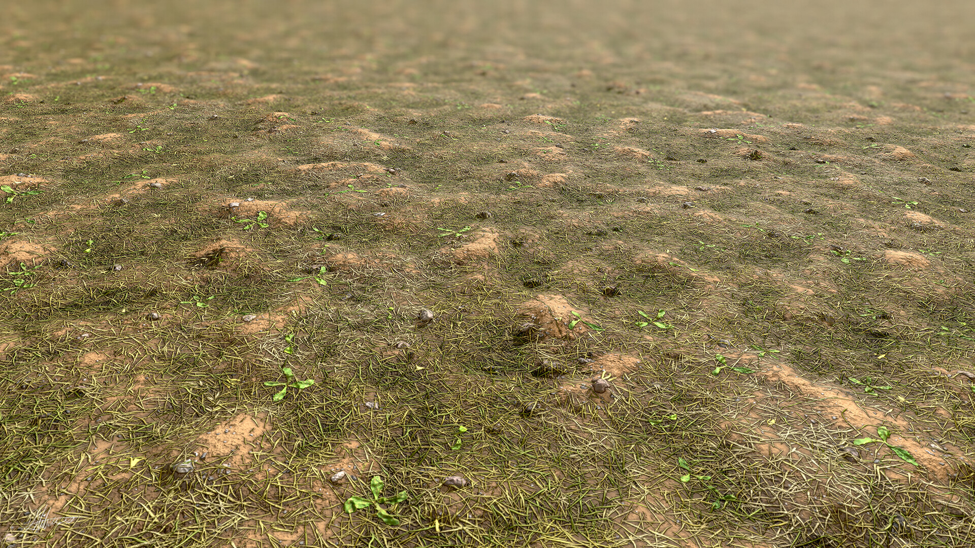 Dan Hutchinson - Terrain Studies