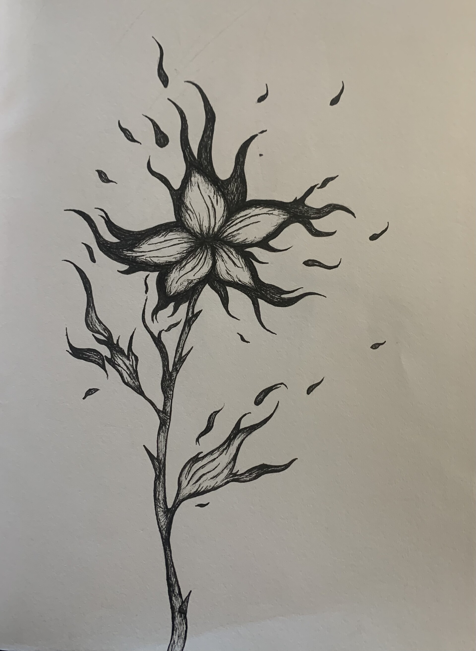 ArtStation - Flaming Flower