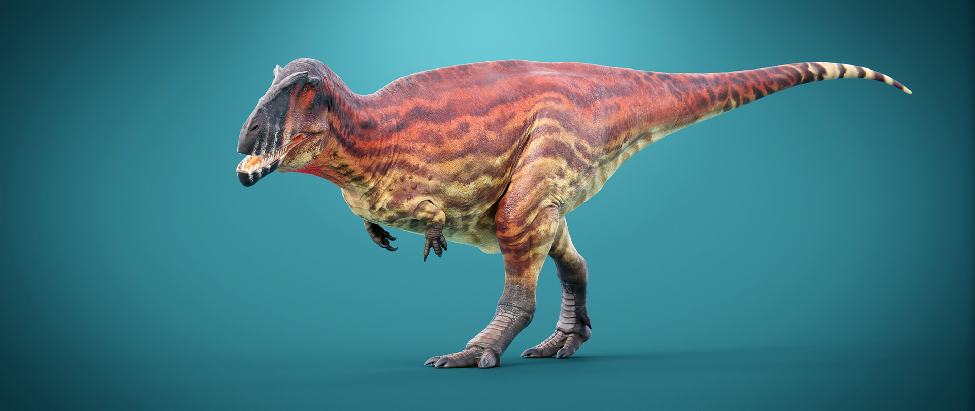 Oakyere - Meraxes Gigas