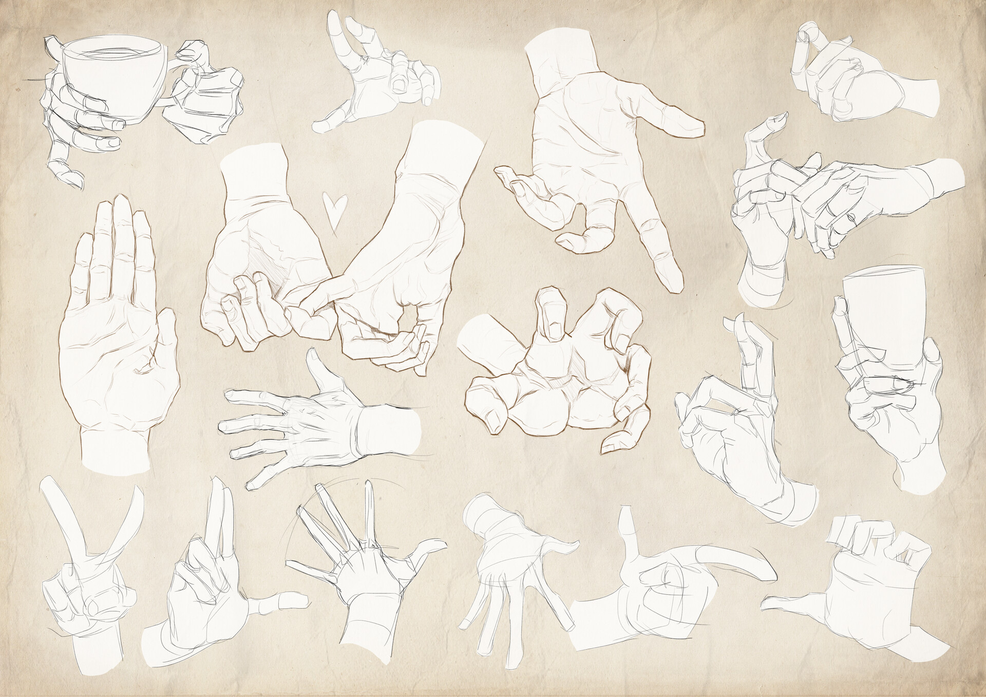 Cori The Knight - Studies