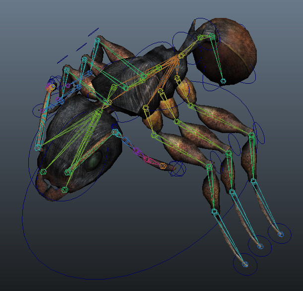 ArtStation - Character Rigging