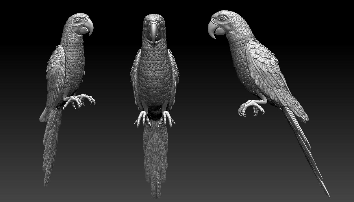 ArtStation - parrot 3d model
