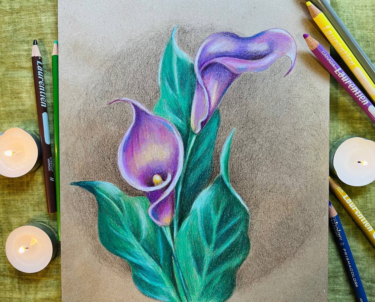 Calla Lily Flower Pencil Drawing