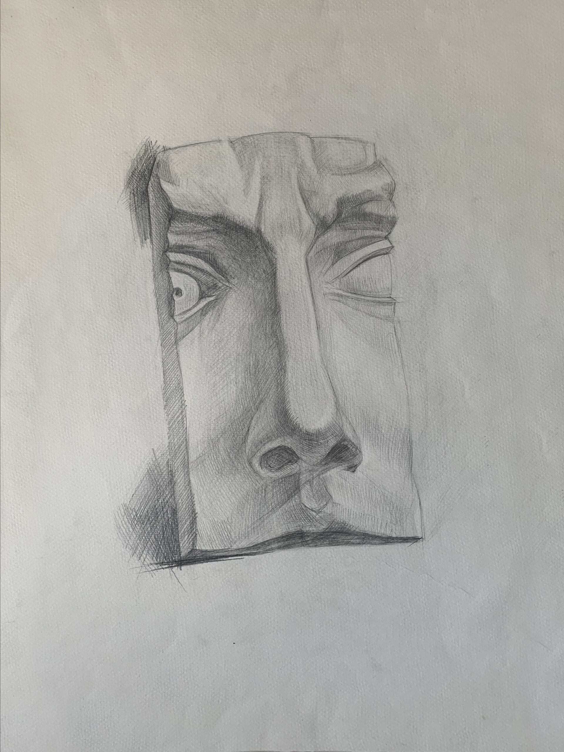 ArtStation - Academic nose drawing