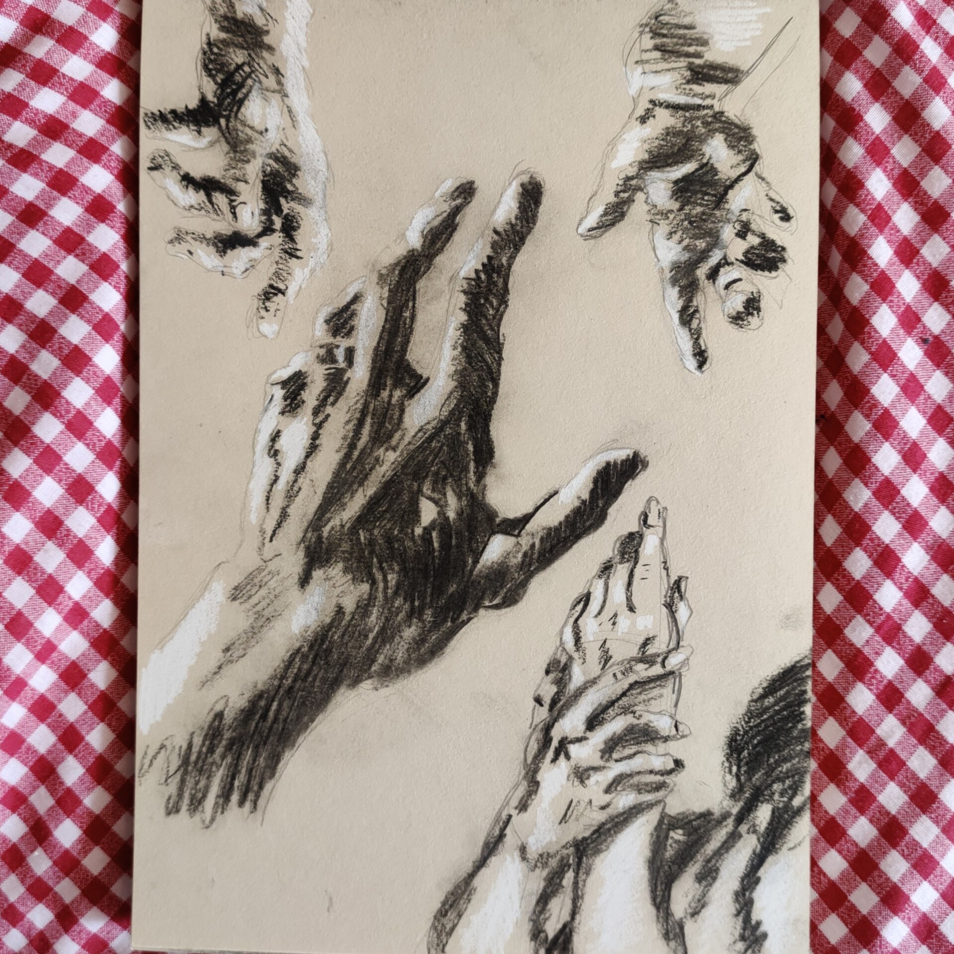 ArtStation - Charcoal Hand Study