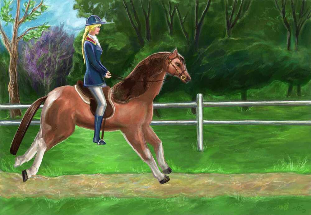 ArtStation - Rider - Animation