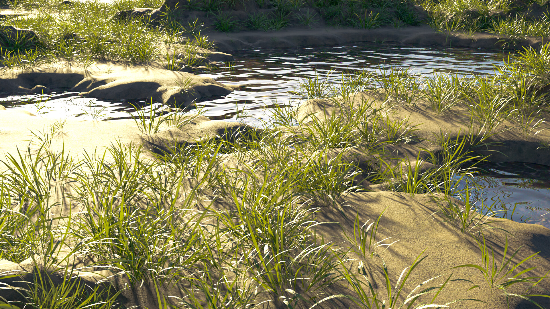 ArtStation - The Swamps of Africa