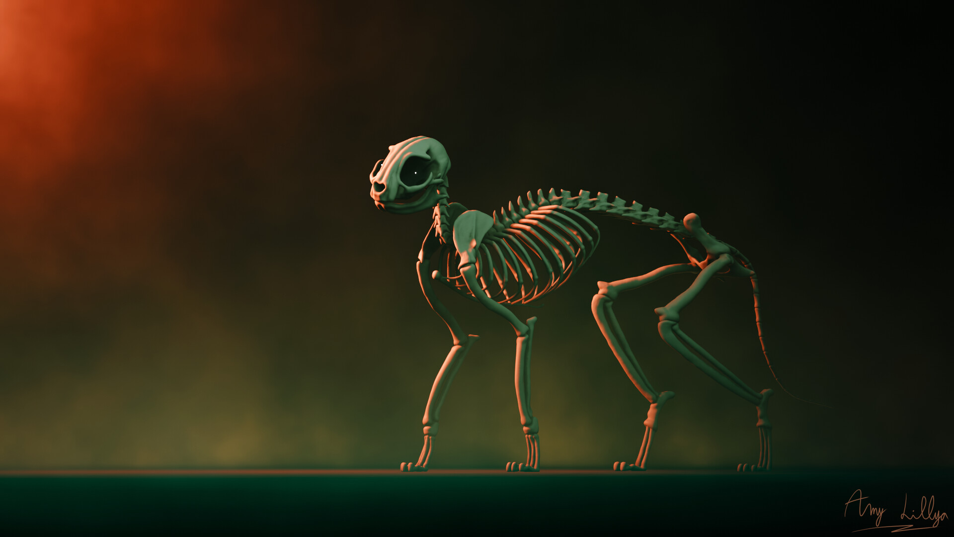 ArtStation - Skeleton Cat