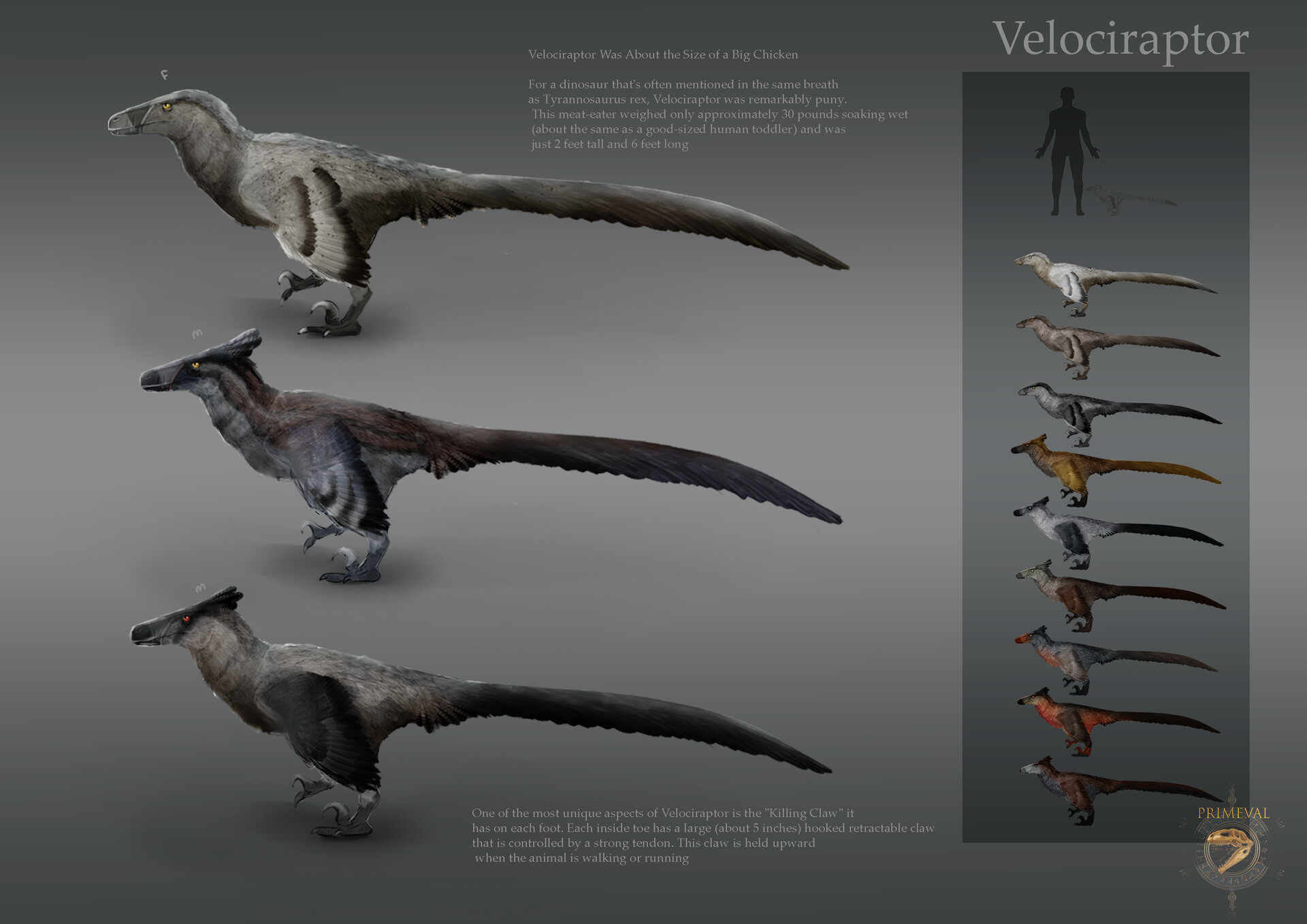 ArtStation - Velociraptor