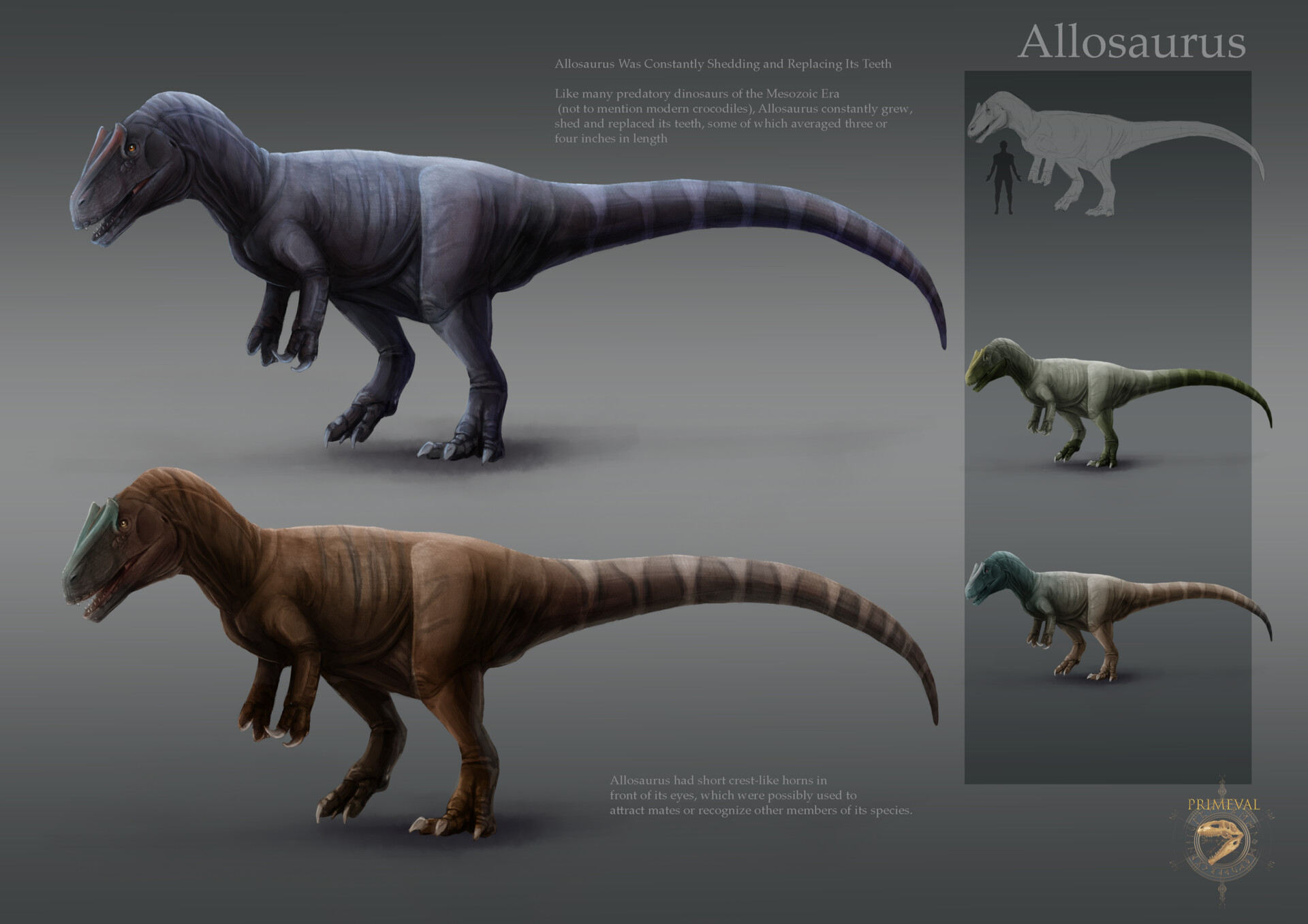 primeval allosaurus